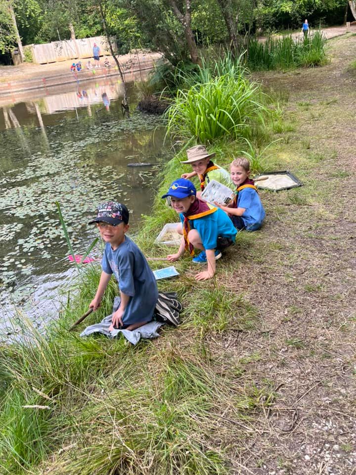 Beavers | 5th Marchwood Scout Group